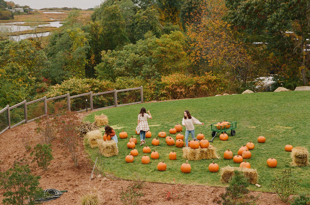 AutoCamp Cape Cod, MA | Luxury New England Glamping