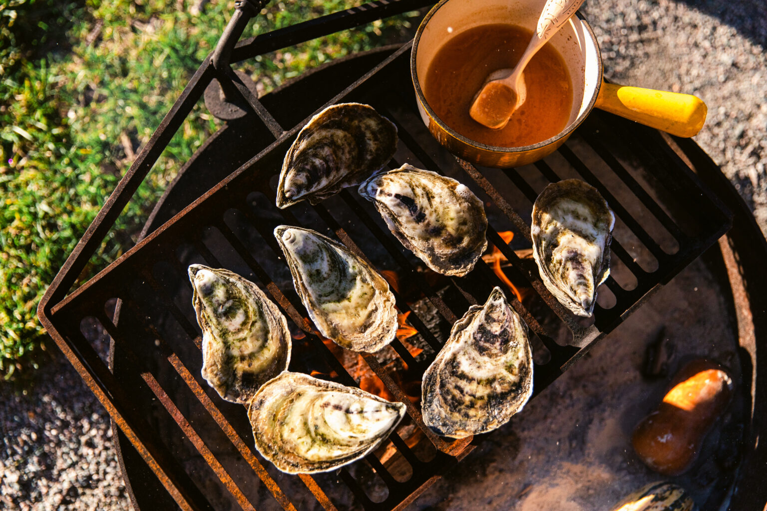 AutoCamp Cape Cod, MA | Luxury New England Glamping