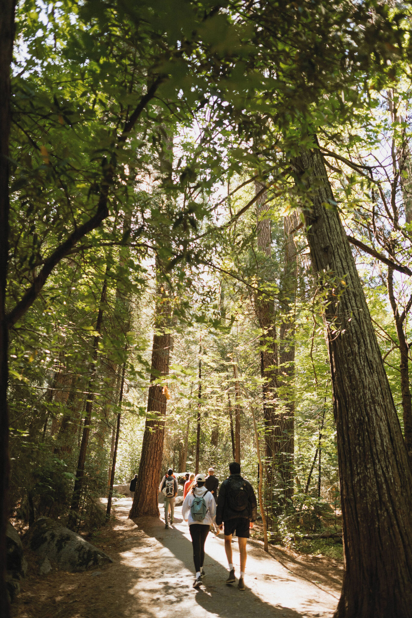 AutoCamp Yosemite, CA | Luxury Yosemite National Park Glamping
