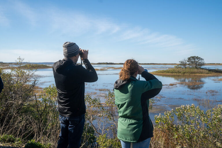 AutoCamp Cape Cod, MA | Luxury New England Glamping