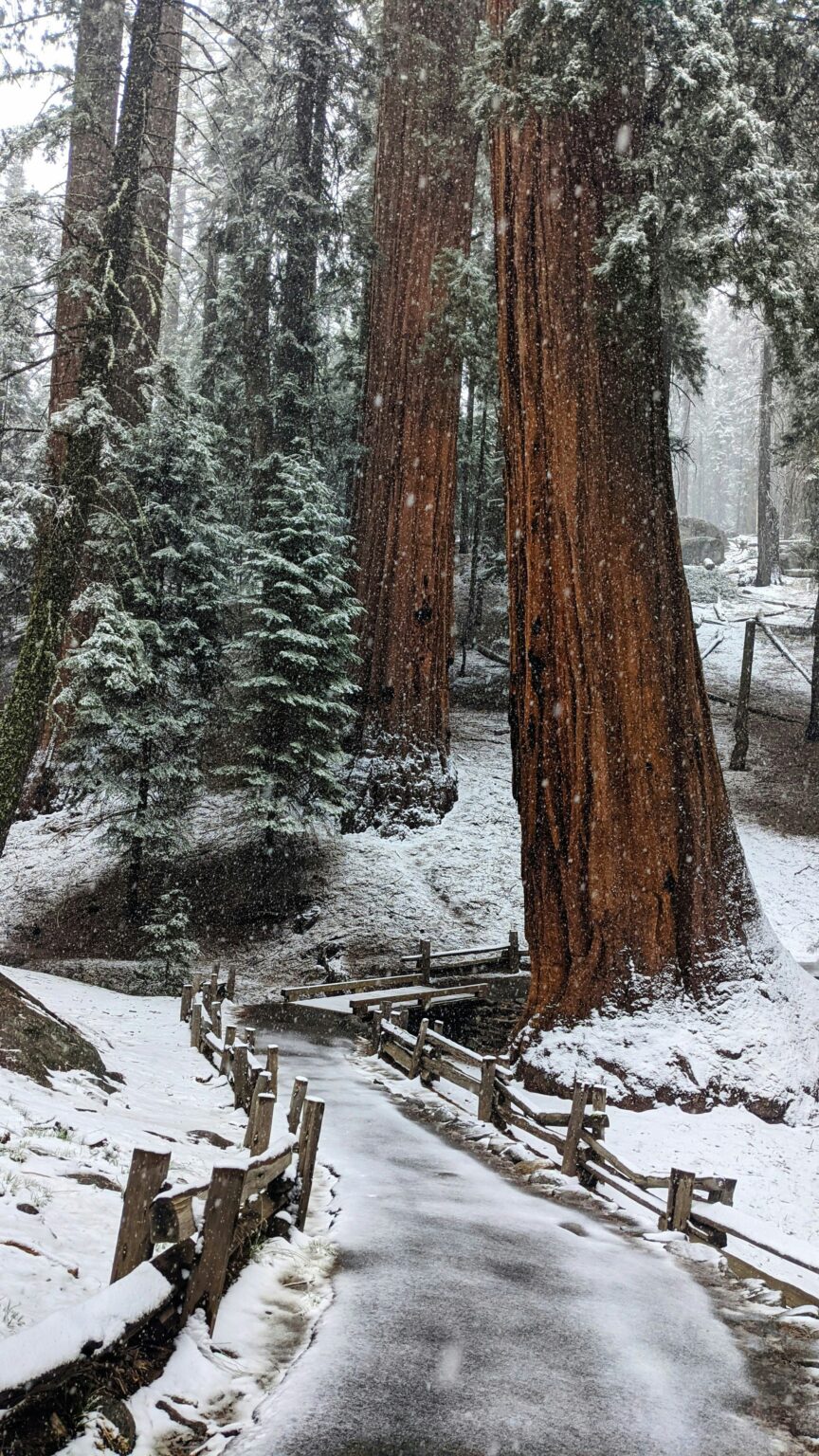 AutoCamp Sequoia, CA | Luxury Sequoia National Park Glamping