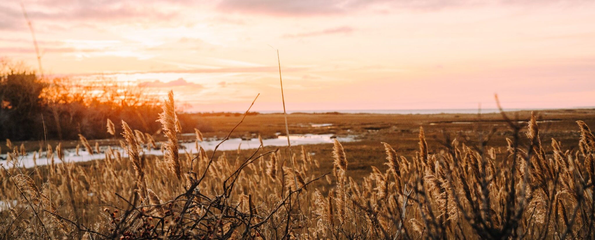 AutoCamp Cape Cod Winter Guide - AutoCamp