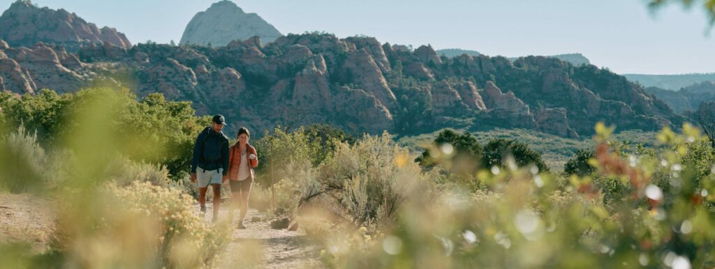 Local's Guide to Planning Your Zion Adventure - AutoCamp Zion