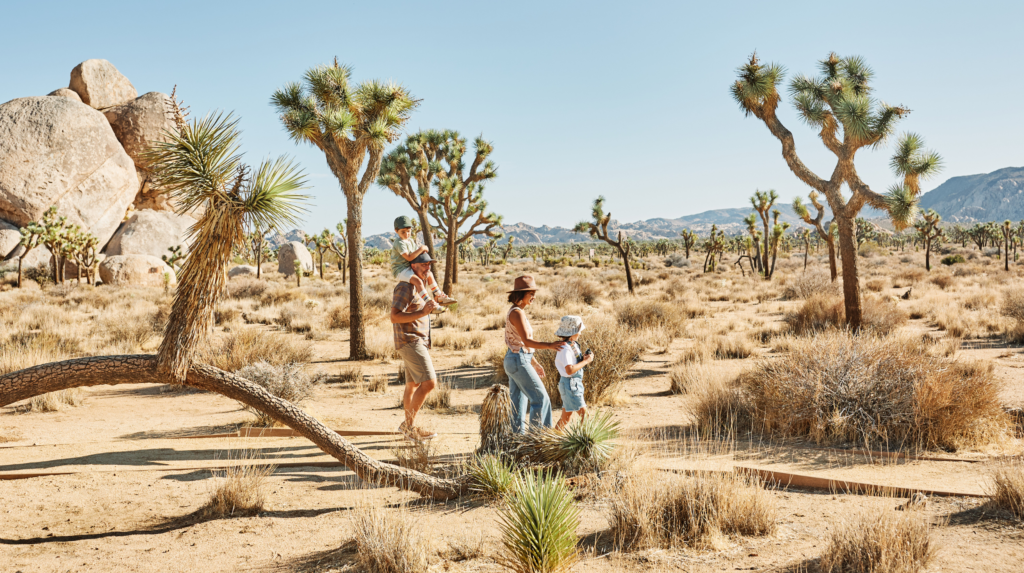 Joshua Tree Turns 87 - AutoCamp
