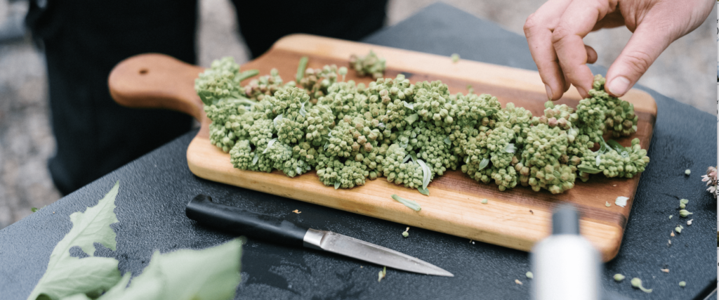 Foraging in the Catskills with Sean Rowe - AutoCamp