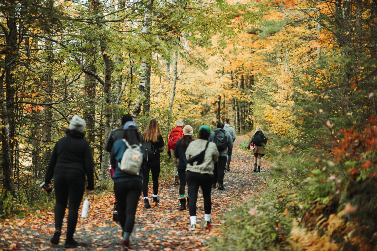 AutoCamp Catskills, NY | Luxury Upstate New York Glamping