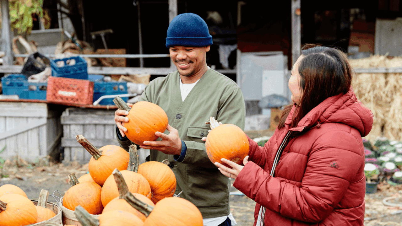 Pumpkin Patch - AutoCamp